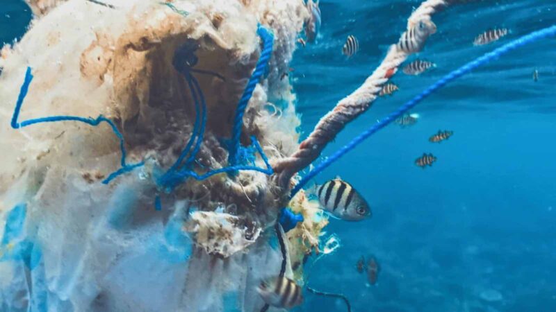 The Unseen Toll Of Mumbai’s Plastic Tide: A Clear And Present Crisis ...